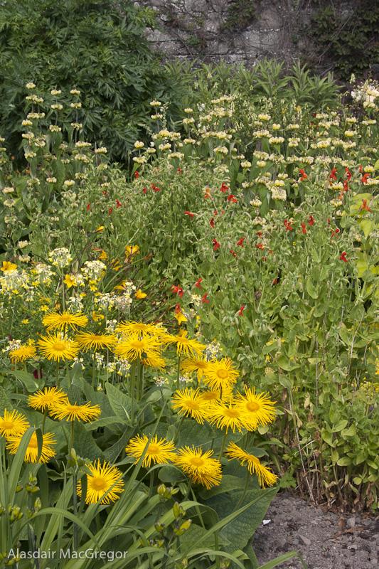 Elizabeth MacGregor Nursery: